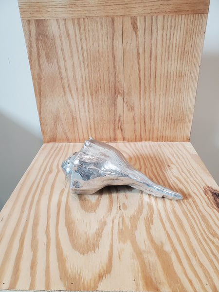 Cast Aluminum Conch Shell – NOMIA